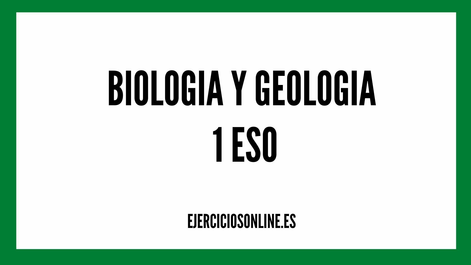 Ejercicios Biologia y Geologia 1 ESO PDF 】 2026